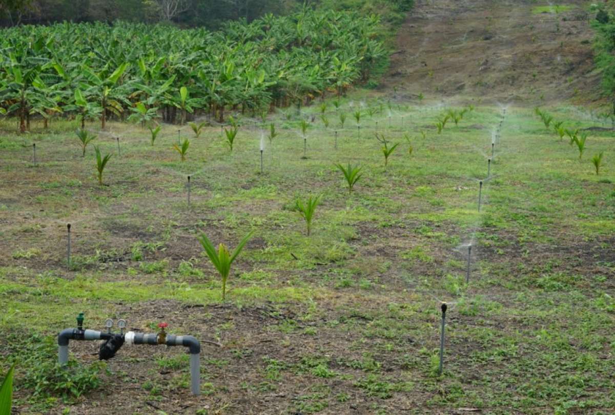 Presidente Noboa lidera la modernización del agro con drones, riego ...